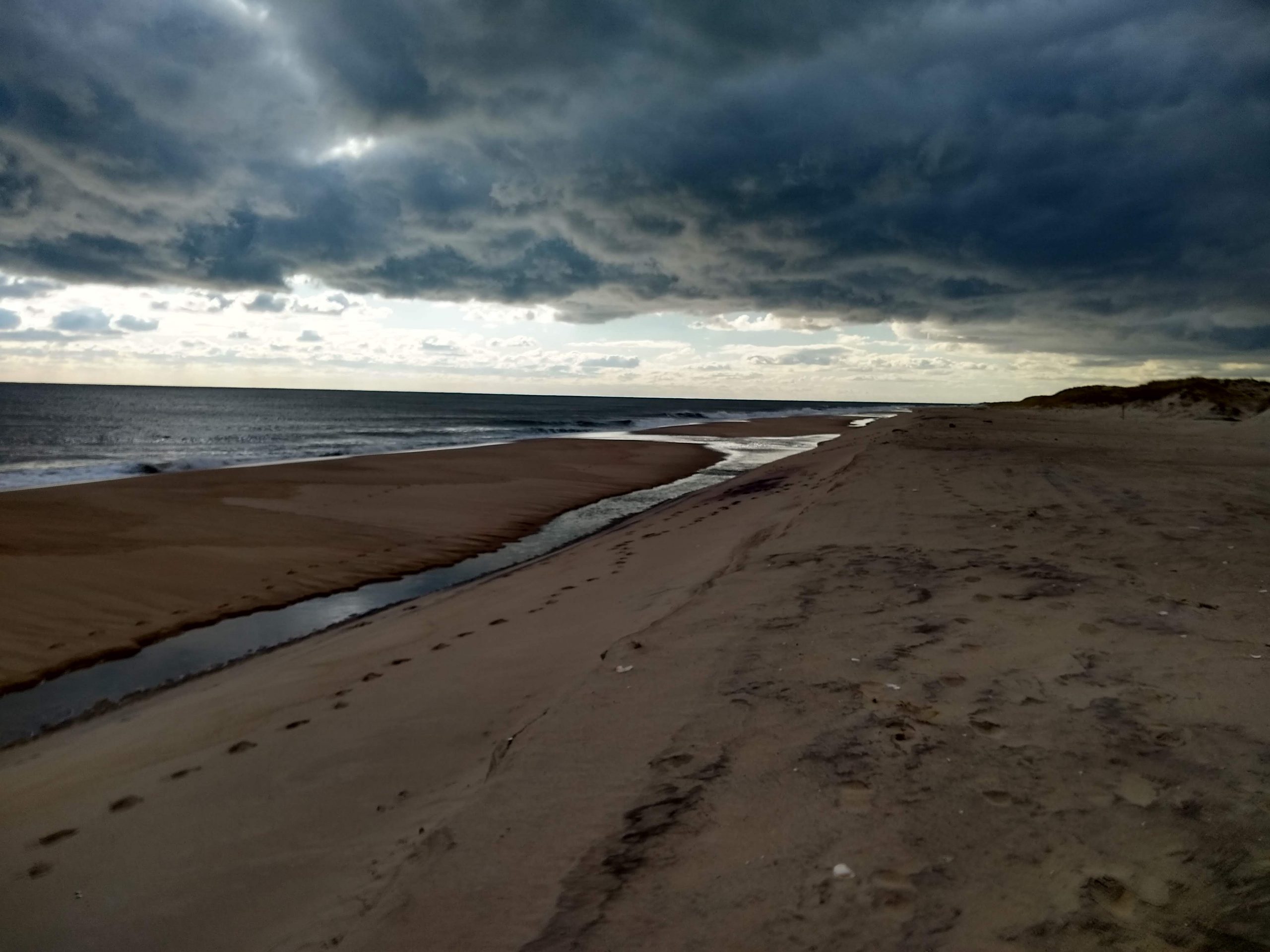 Winter Beach Walk at Sagg Main Beach: Adults/Children 6+ | South Fork ...