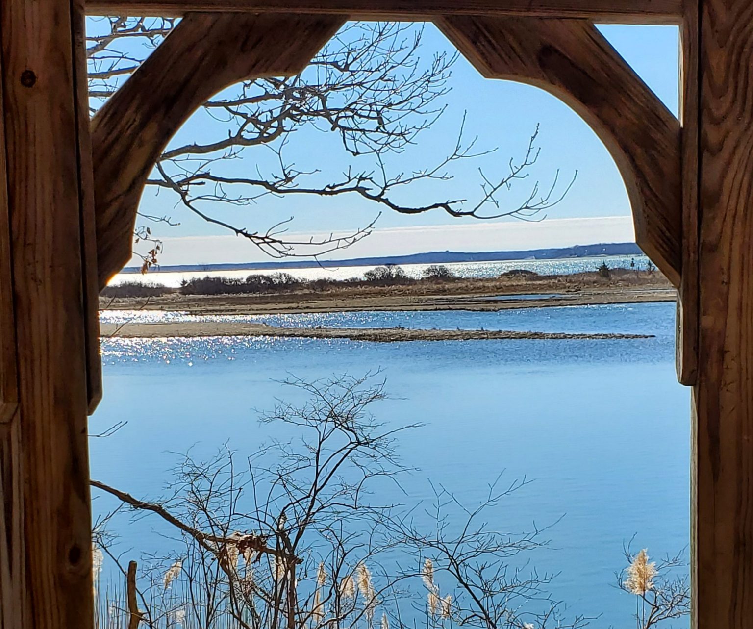 Events for March 2026South Fork Natural History Museum & Nature Center
