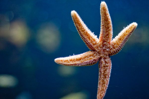 Events for April 2025South Fork Natural History Museum & Nature Center