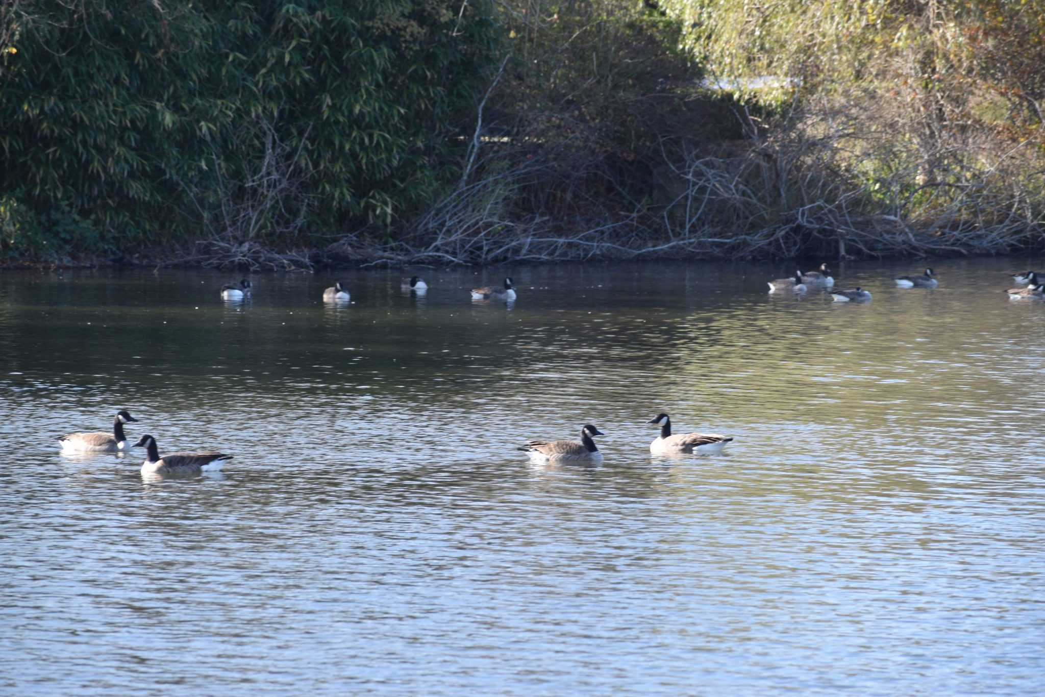 Events for July 2025South Fork Natural History Museum & Nature Center
