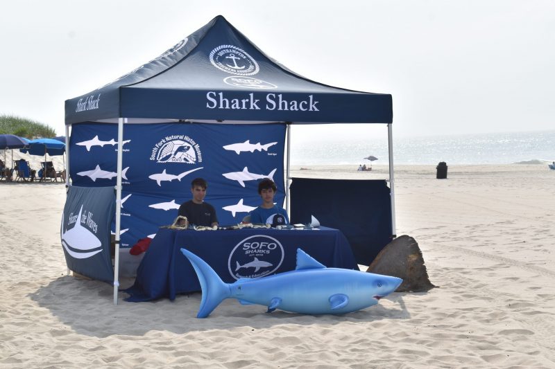 Shark Shack | South Fork Natural History Museum & Nature Center