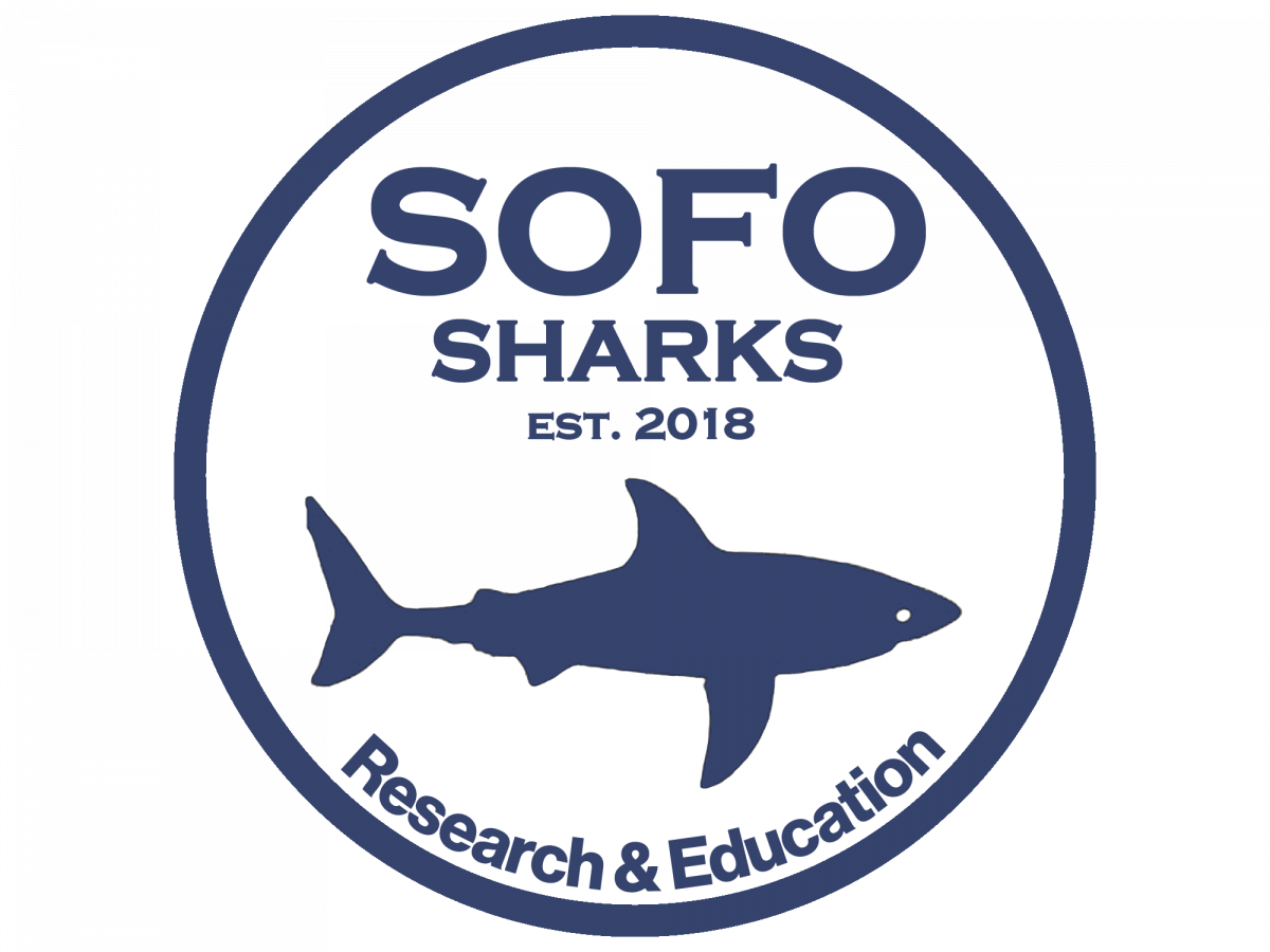 SOFO Shark Research and Education Program | South Fork Natural History ...